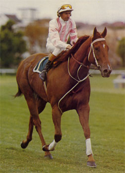 Manikato - Equus Racing